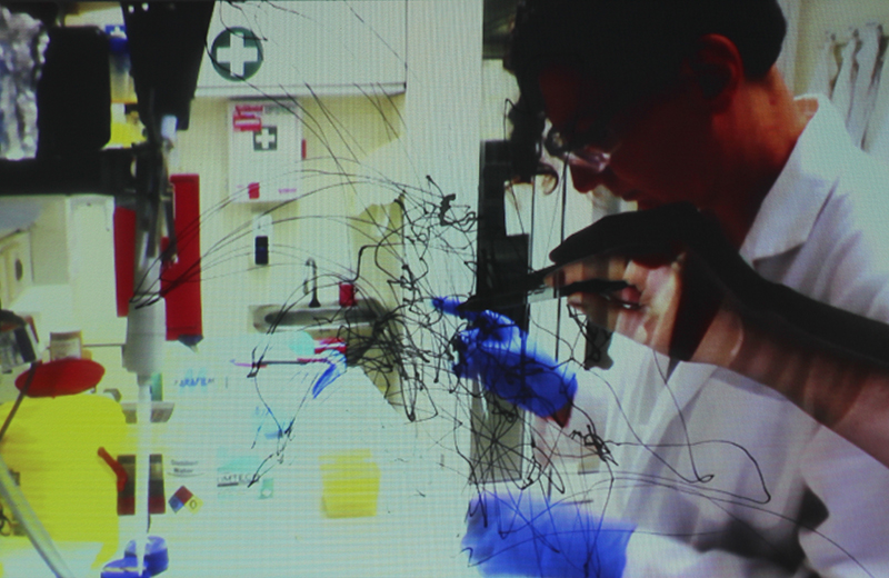 The Scientist -A record of action – JEANETTE STOK